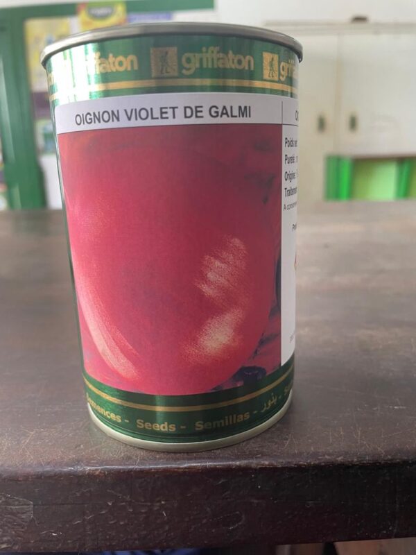 Oignon violet de Galmi | Agro-Hospital